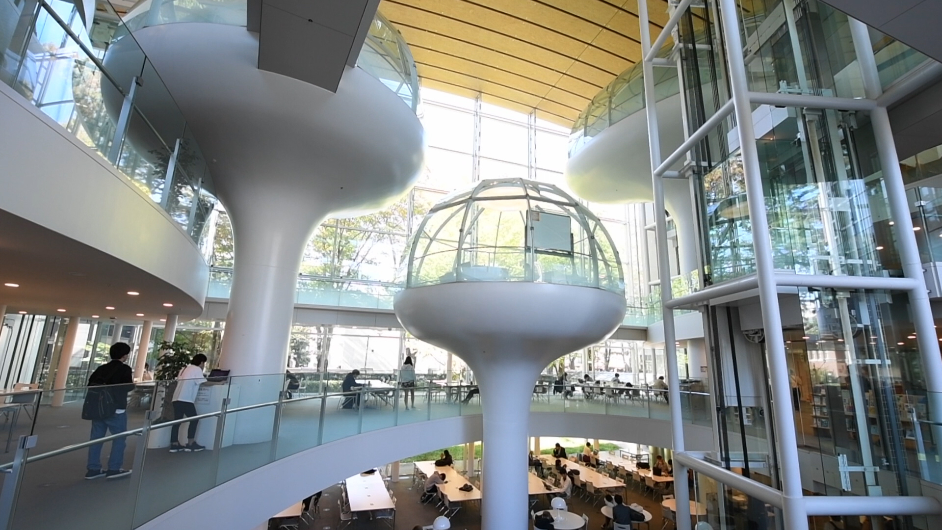 [Hidden Wonders of Japan] Spaceship or Library? It’s Both at Seikei ...