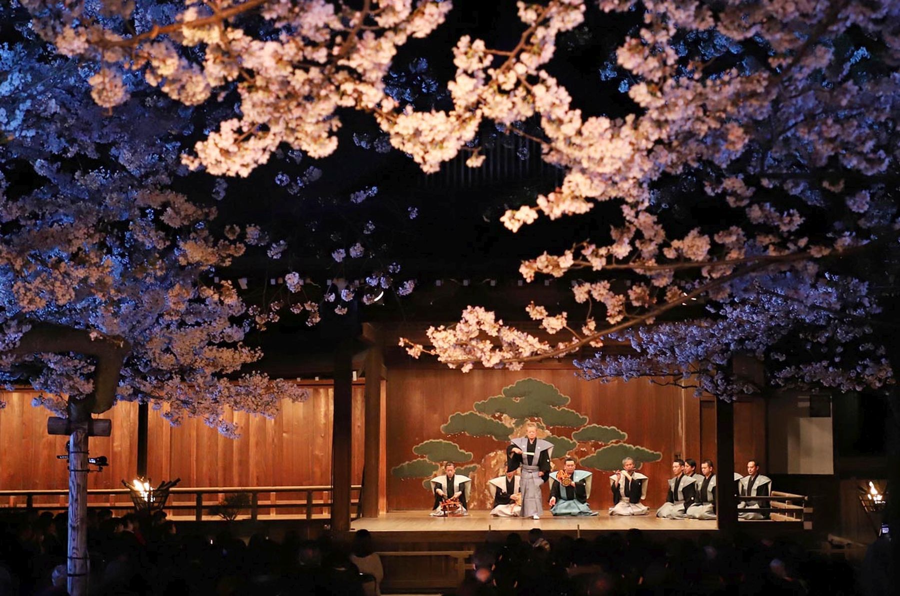 Japan Sakura Cherry Blossom 2019 005 | JAPAN Forward