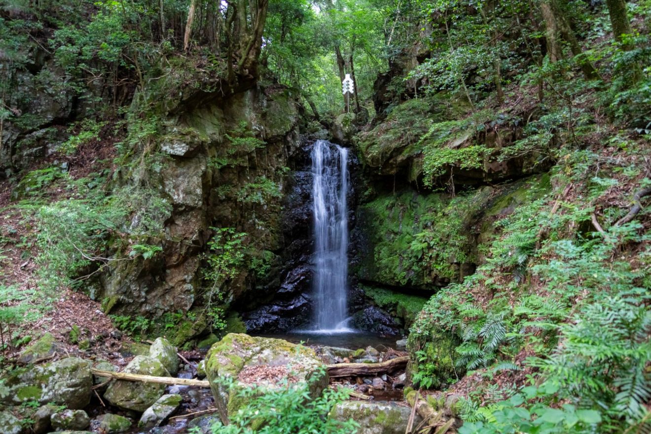 [Scary Places in Japan] The Moss-Ridden Taki Shrine | JAPAN Forward
