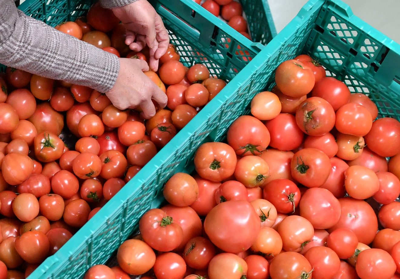 EDITORIAL | Time for Business to Step Up Against Food Waste | JAPAN Forward