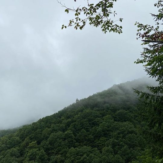 A Visit to Osutaka Ridge: Remembering Those Who Died in the JAL123 ...