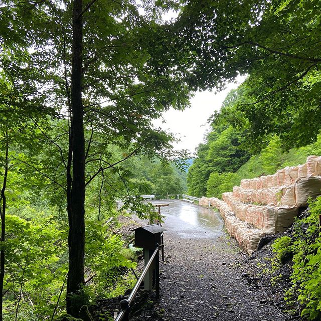 A Visit to Osutaka Ridge: Remembering Those Who Died in the JAL123 ...