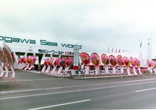 Kamogawa Sea World at 50: Looking Ahead, More Important than Ever to ...