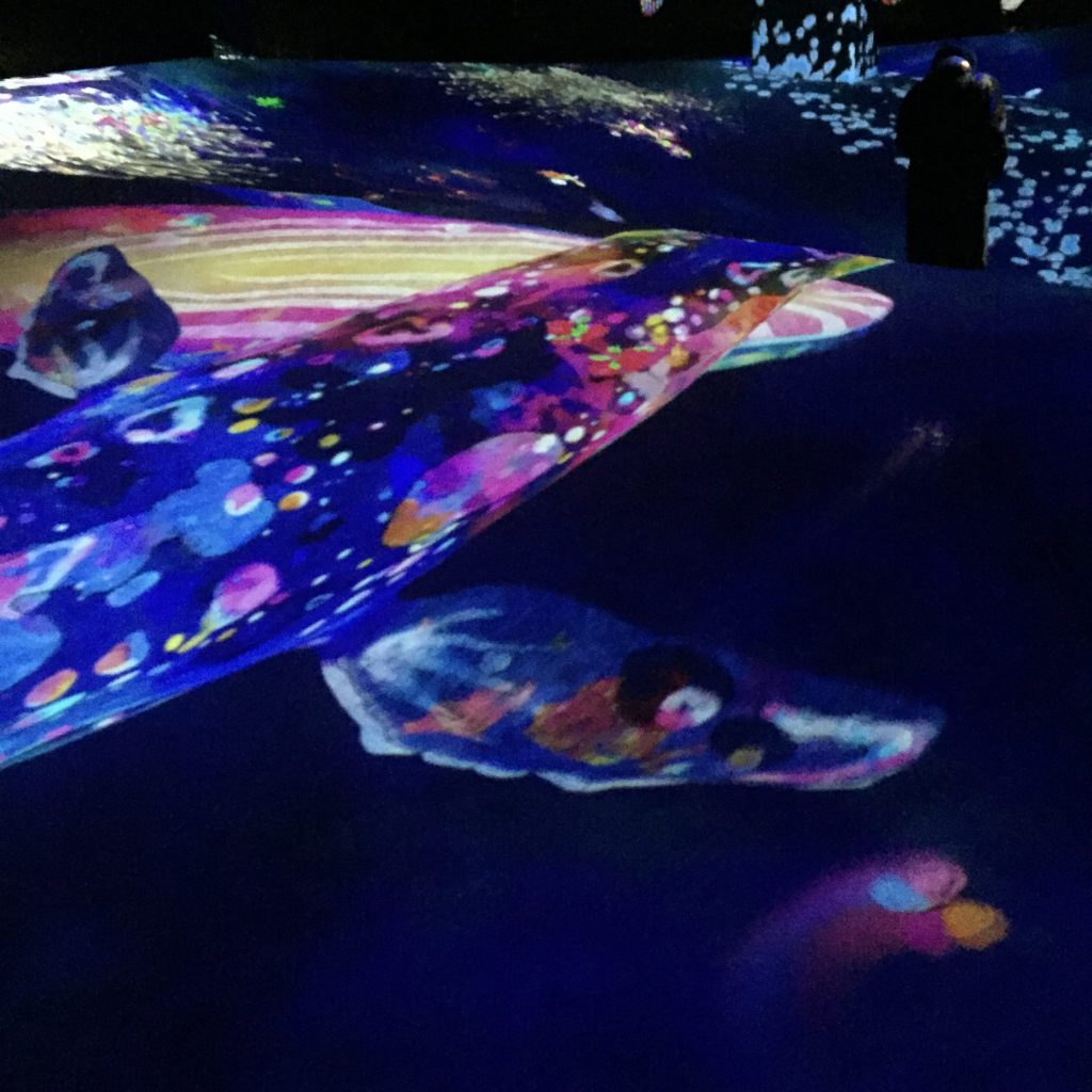 teamLab Borderless Continues to Educate and Entertain in the Age of ...