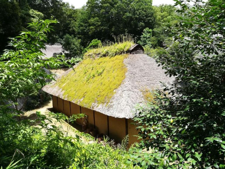 A Quick Look Into Japanese Traditional Construction Crafts Recognized ...