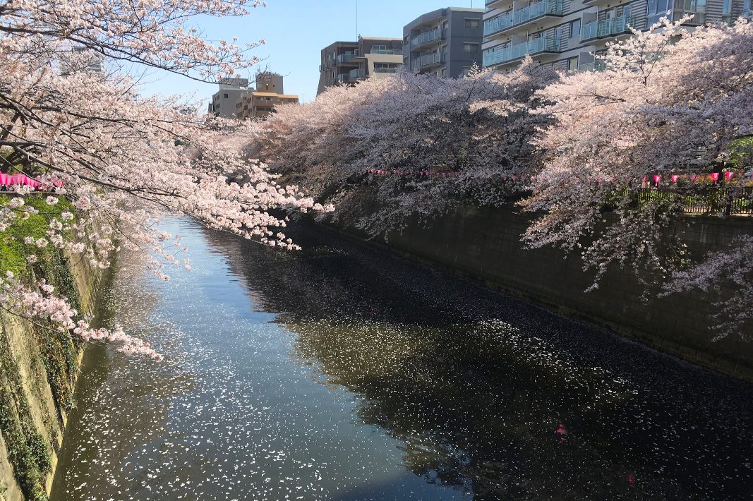 River Walks: A Tour of Tokyo’s Waterways – Part 1 | JAPAN Forward