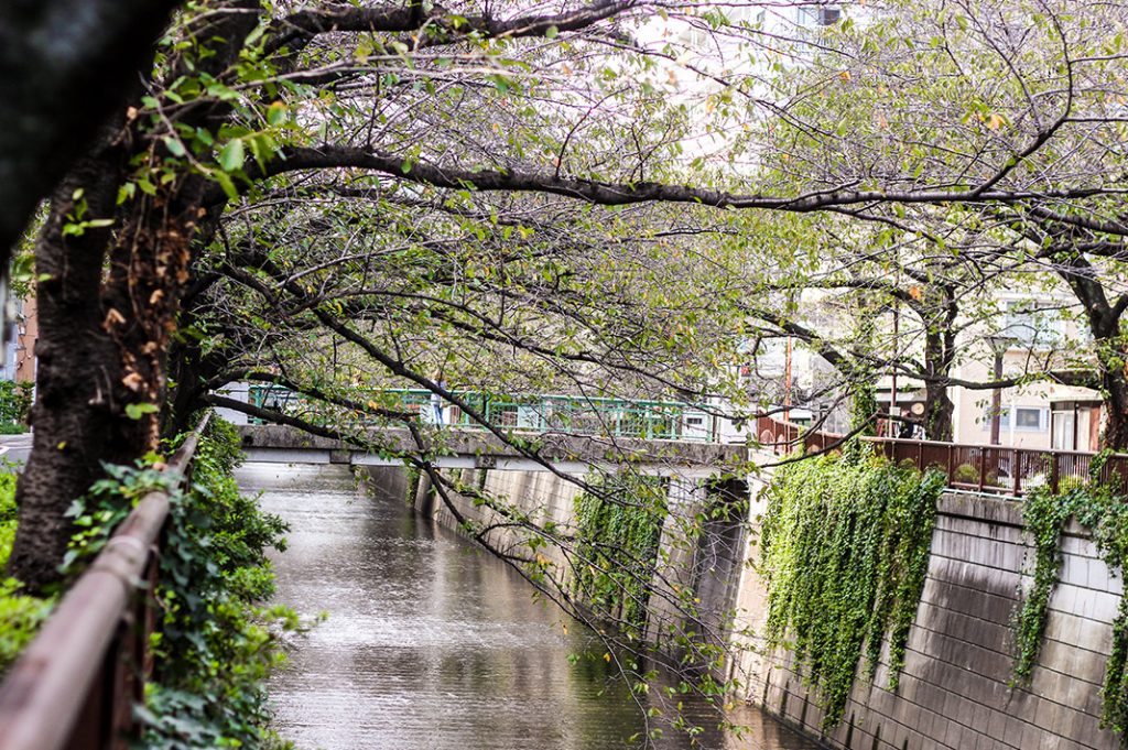River Walks: A Tour of Tokyo’s Waterways – Part 1 | JAPAN Forward