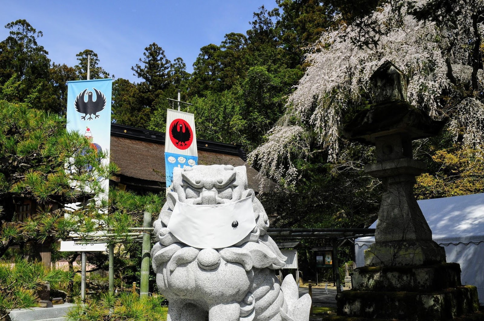 Why Not Workcation in the Wilderness of Wakayama? | JAPAN Forward
