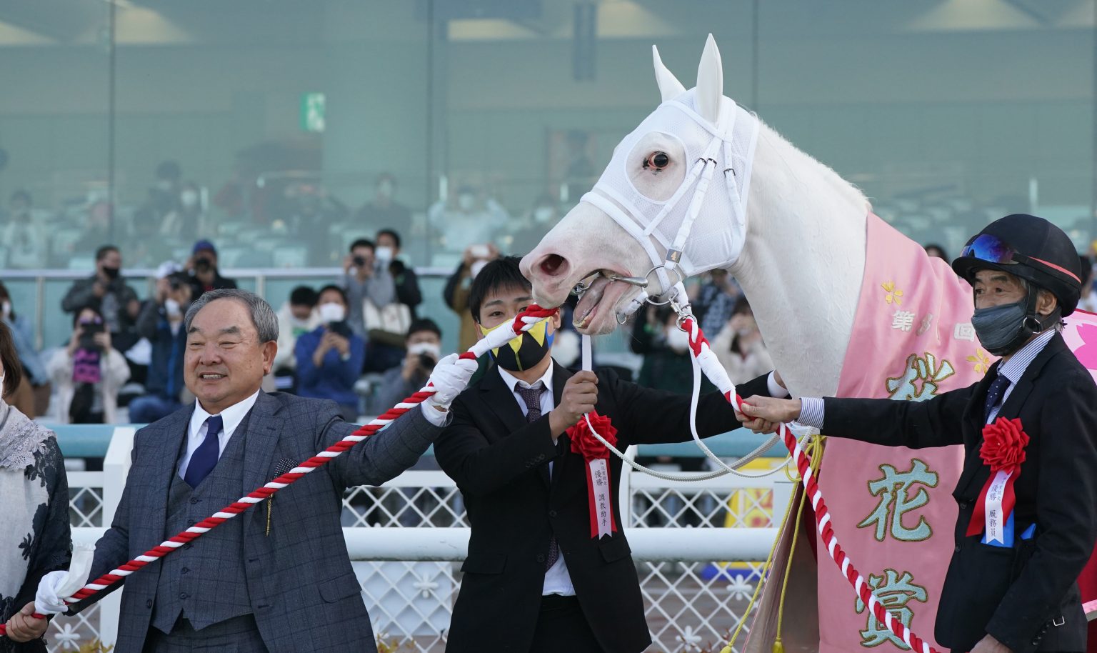 HORSE RACING | Sodashi Bests Field in Oka Sho, Becomes First White ...