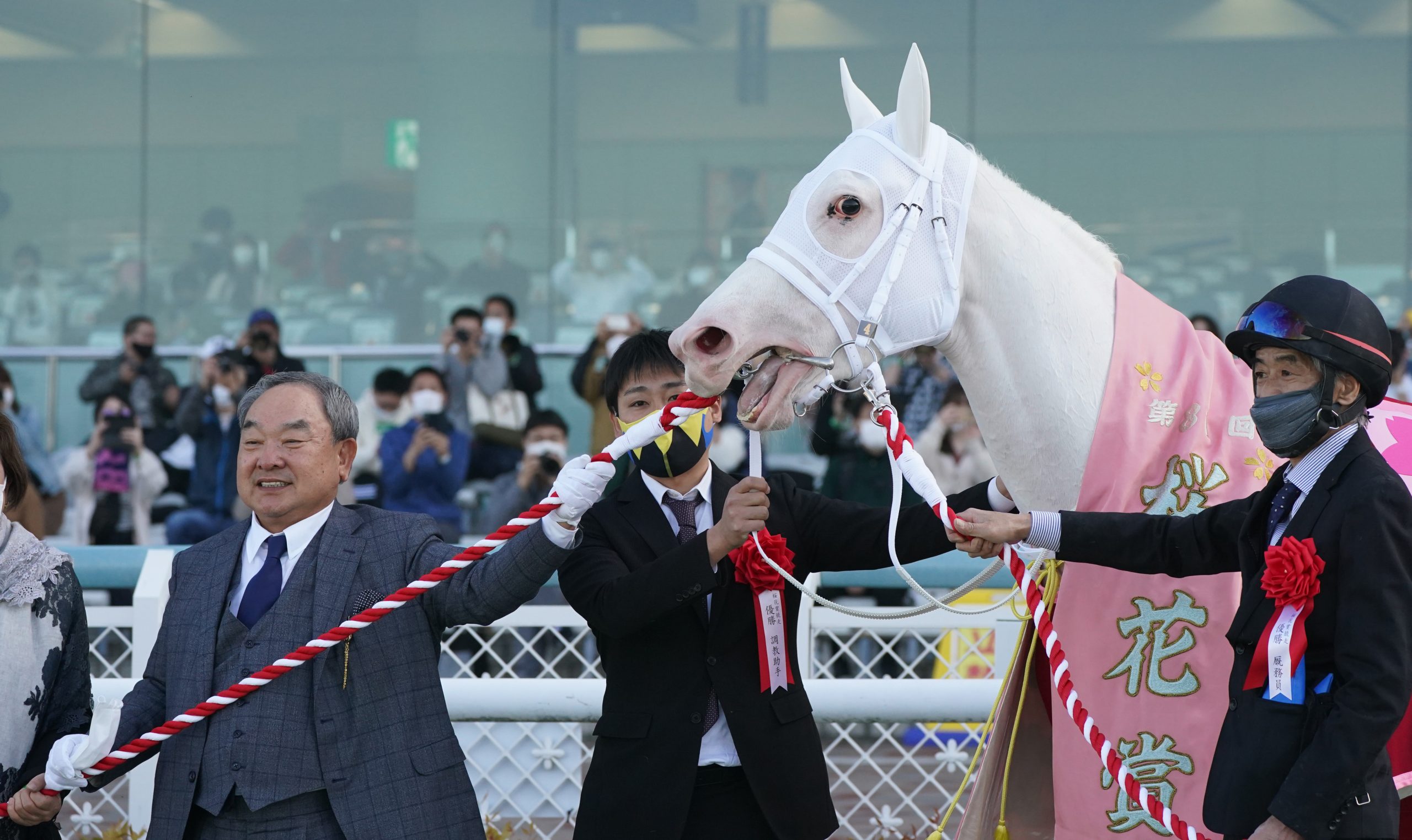 HORSE RACING | Sodashi Bests Field in Oka Sho, Becomes First White ...