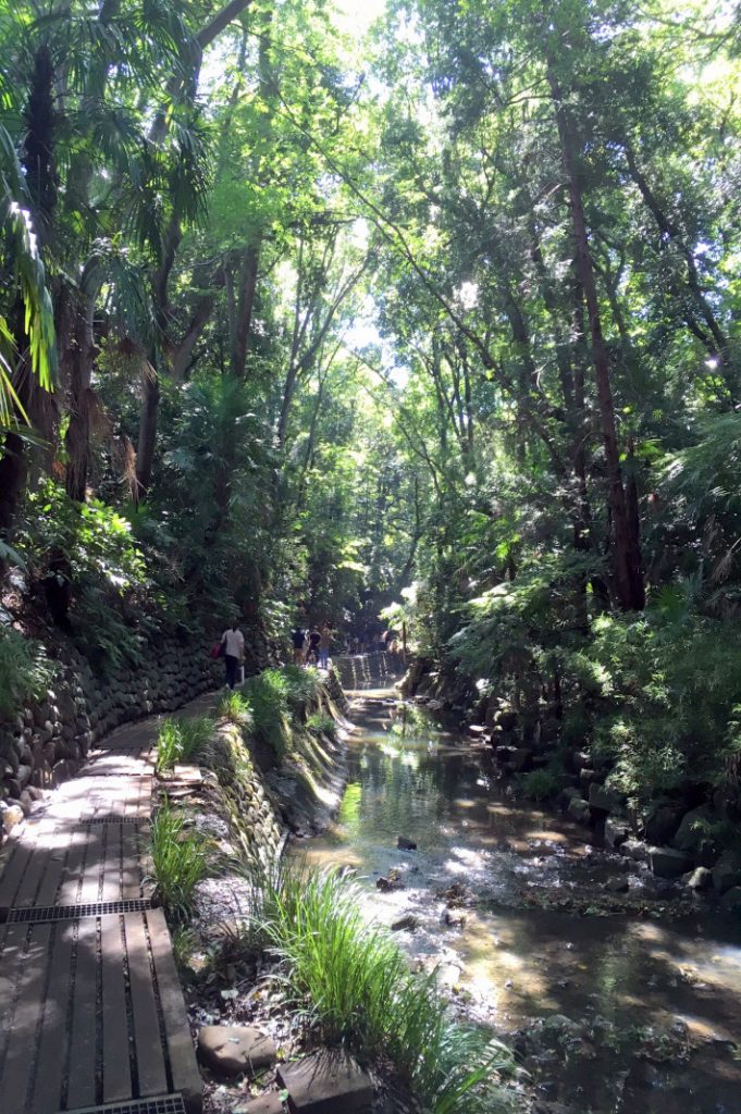 Tokyo's Secret Wilderness: Exploring Todoroki Valley | JAPAN Forward