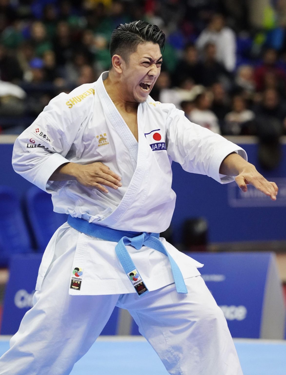 The JAPAN Forward Guide to Karate in the 2020 Olympics | JAPAN Forward