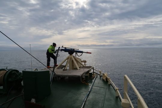 INTERVIEW | Managed Well, Whales Will Sustain Us Over the Long Haul ...