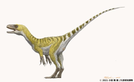 Newly Discovered Species Shows What It Was Like During Japan’s Dinosaur ...