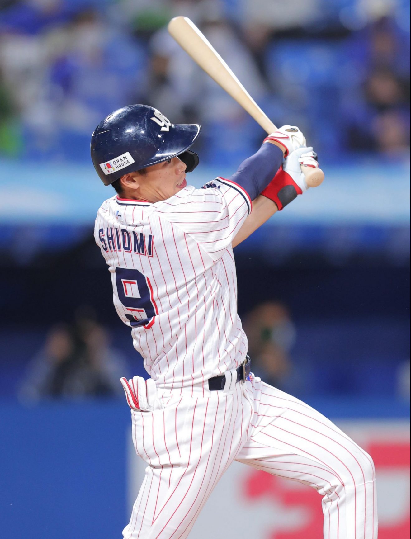 BASEBALL | Birds of Prey: Unsung Swallows Upstage Giants, Tigers in ...