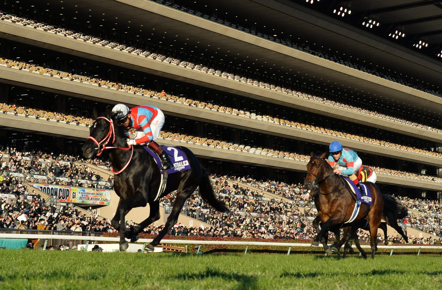 Japan Cup | JAPAN Forward