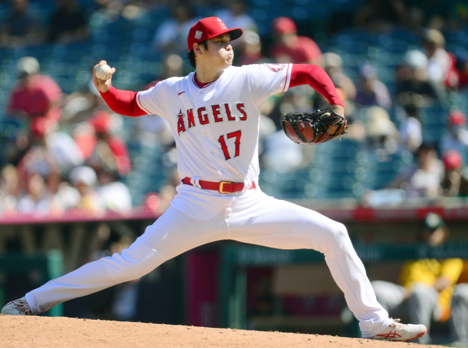 It’s Unanimous! Shohei Ohtani Wins 2021 American League MVP Award | SportsLook