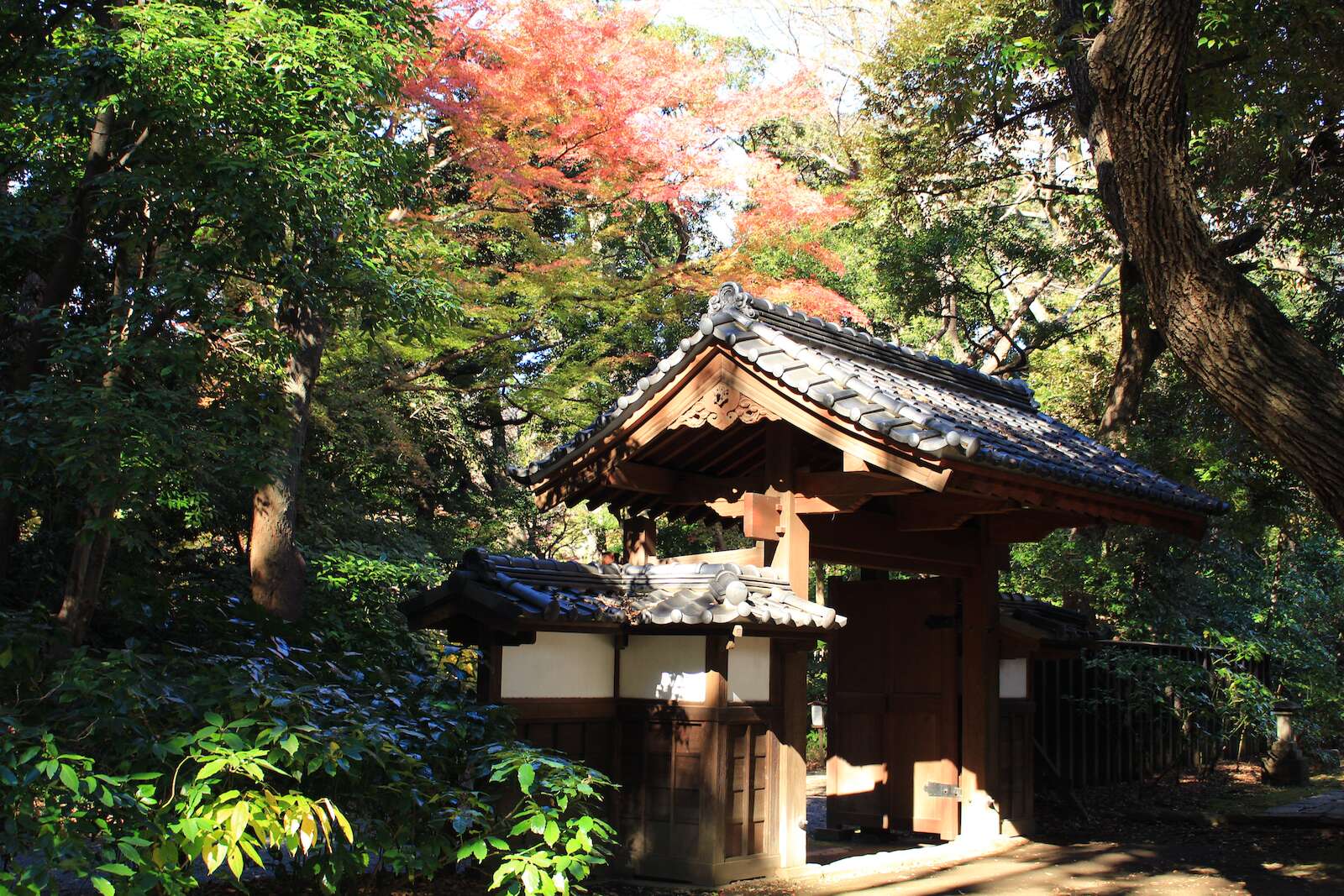 rn-015-akamon--can-211213-201033-0678-kinmonth-2021 | JAPAN Forward