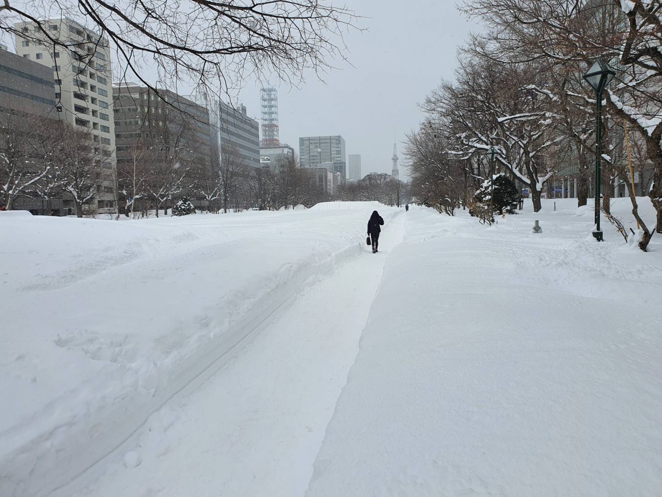 Sapporo is Snowed In, and it's All Natural