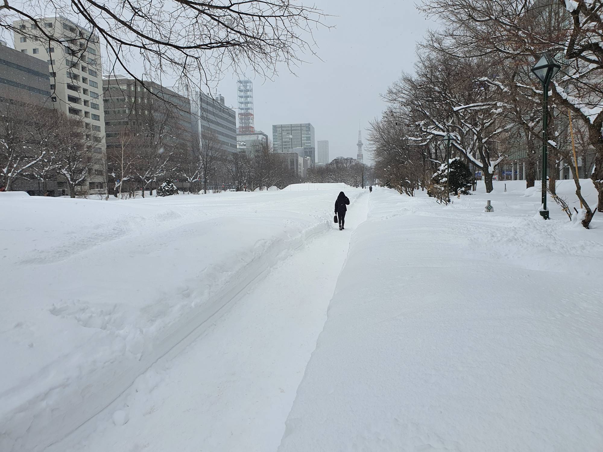 Sapporo is Snowed In, and it's All Natural