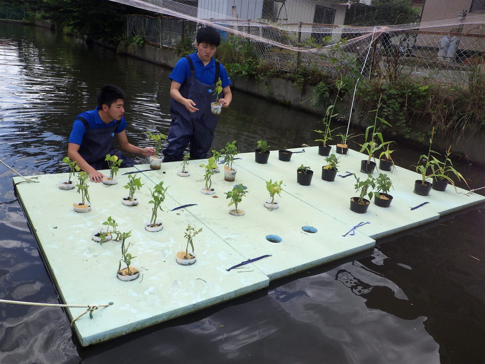 Sekisui House Takes Grand Prize in the ‘30th Global Environment Awards ...