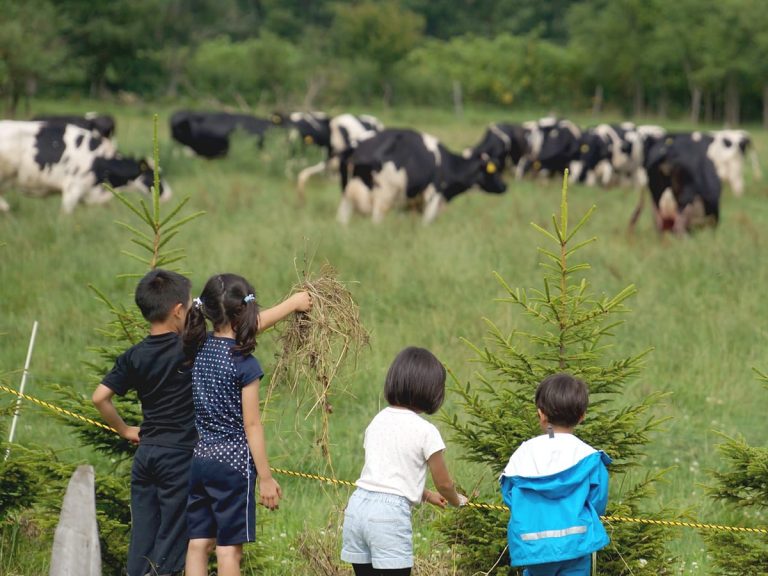 Japanese Elementary Schoolers Learn Fate of Cows on Farm Trip | JAPAN ...