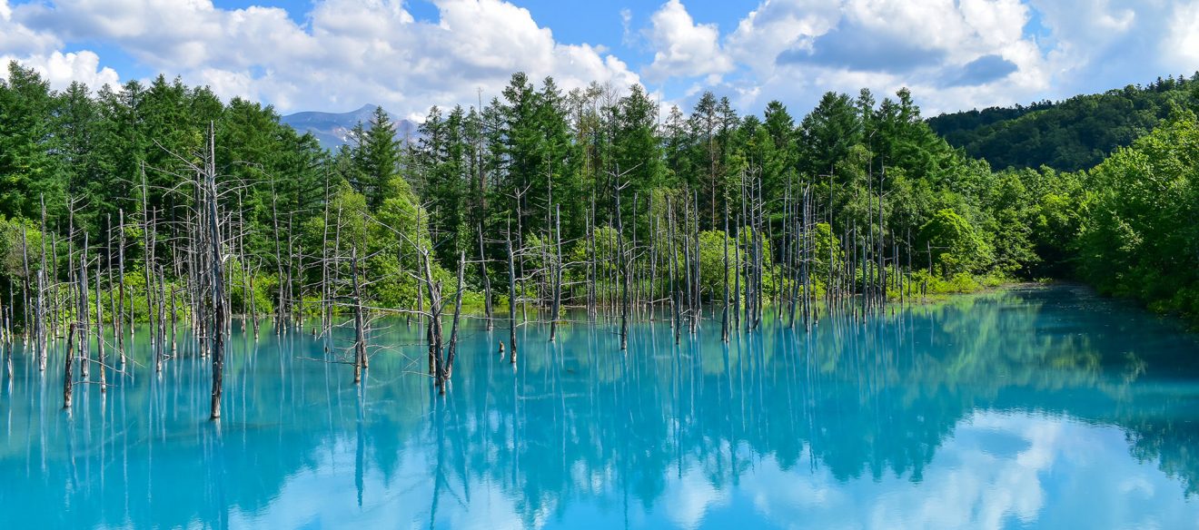 The Idyllic Hills of Biei: Exploring A Hidden Gem by Bike, Day 1 ...