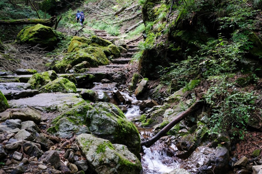 Mt. Mitake: A One-Day Itinerary for Nature and Serenity | JAPAN Forward