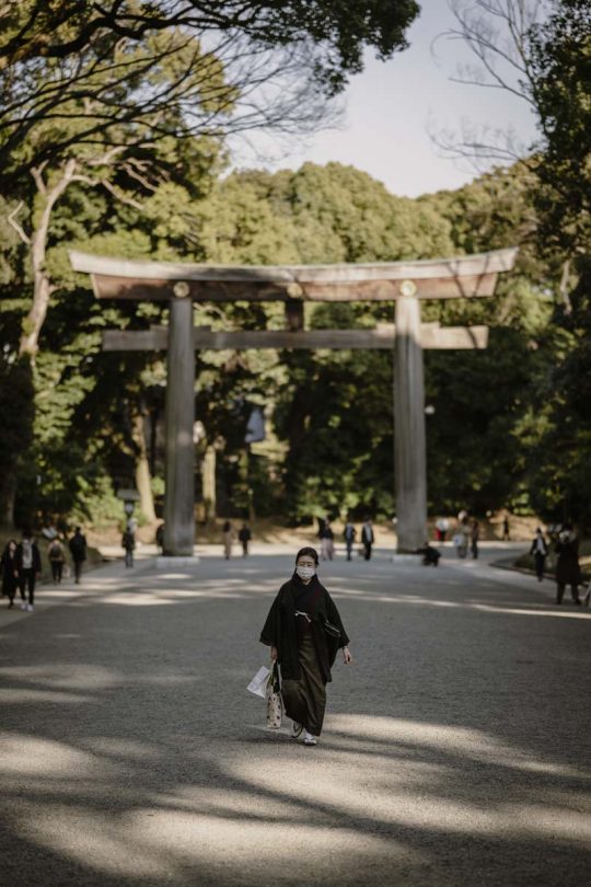 [A Photographer’s Notes] Meiji Jingu in the Golden Hour | JAPAN Forward