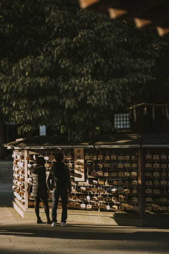 [A Photographer’s Notes] Meiji Jingu in the Golden Hour | JAPAN Forward