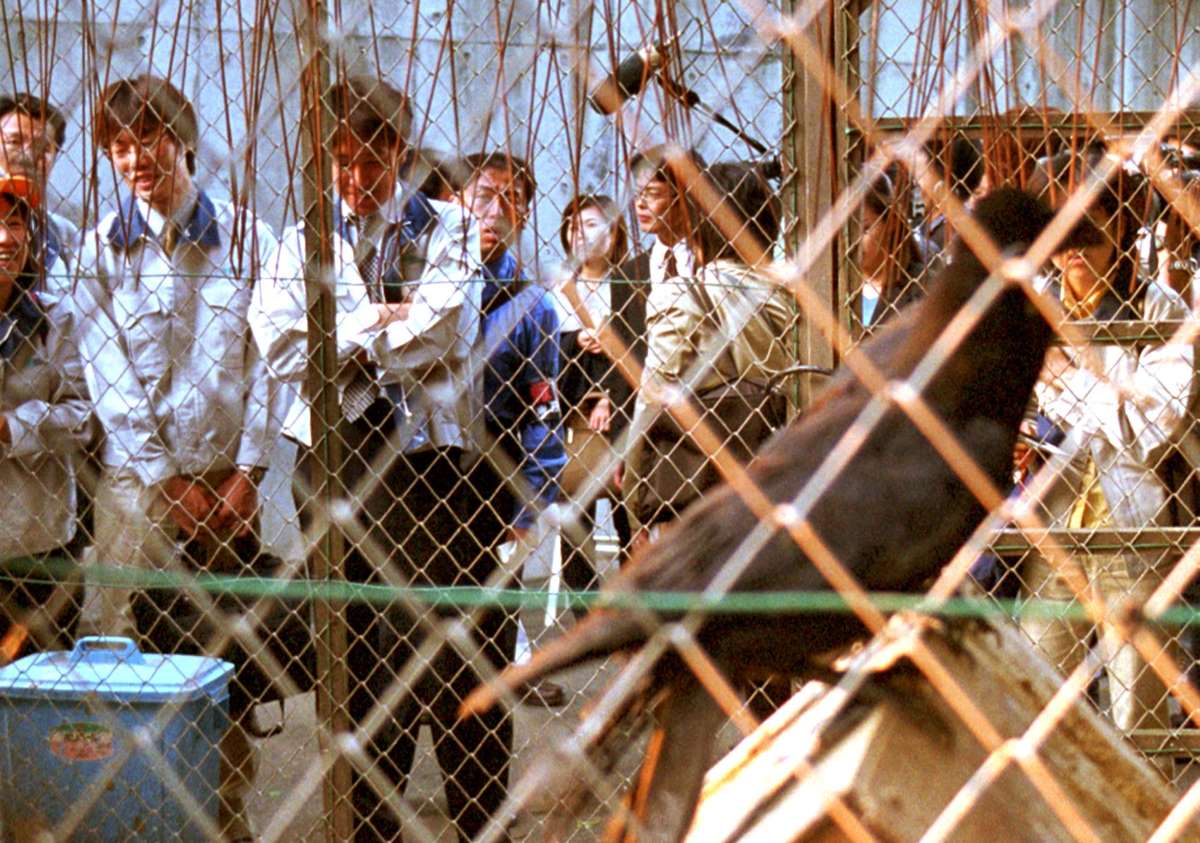 200109 Tokyo Crow | JAPAN Forward