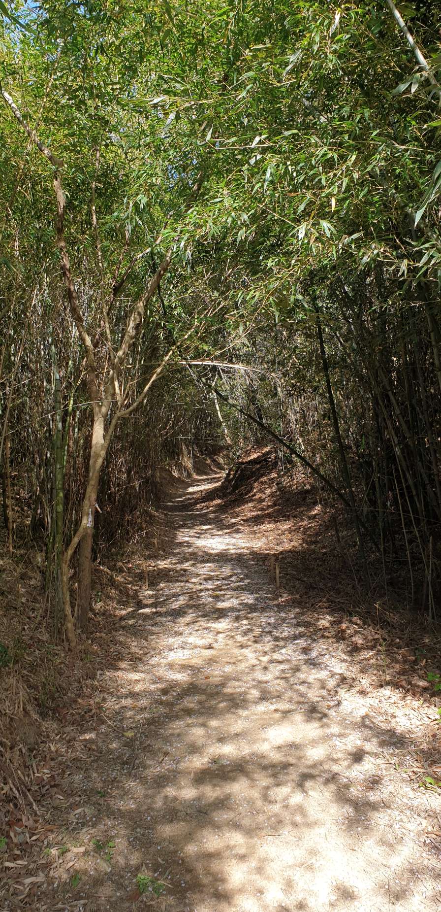 Hiking the Henro: ‘Next Time You Should Rent a Car! | JAPAN Forward