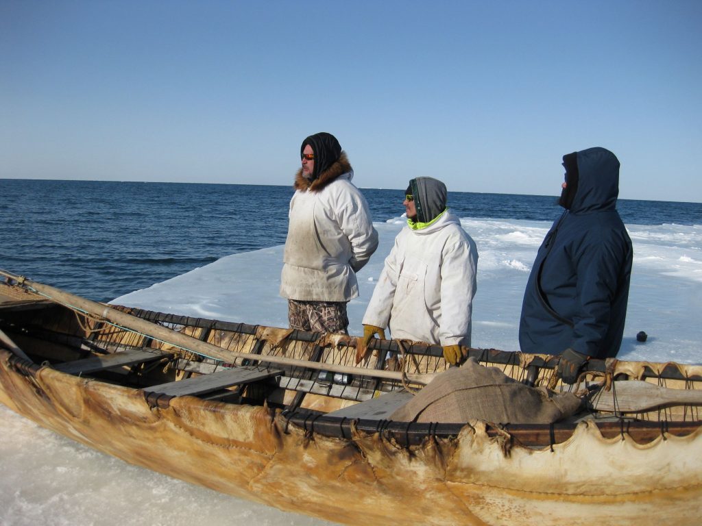 Revisiting the Roots of the Whaling Issue: The Relationship Between ...