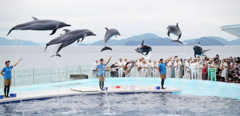 Japanese Aquariums: Otherworldly Beauty in a New Immersive Experience ...