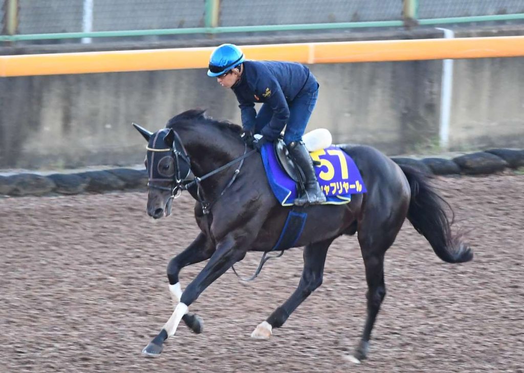 Shahryar Awaits First Race in Japan This Year at 166th Tenno Sho ...