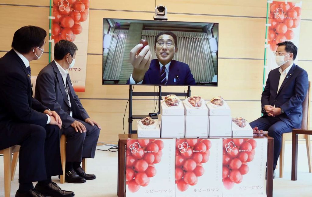 EDITORIAL | Japan Loses $690M in Premium Brand Fruits Stolen by Other Countries | JAPAN Forward