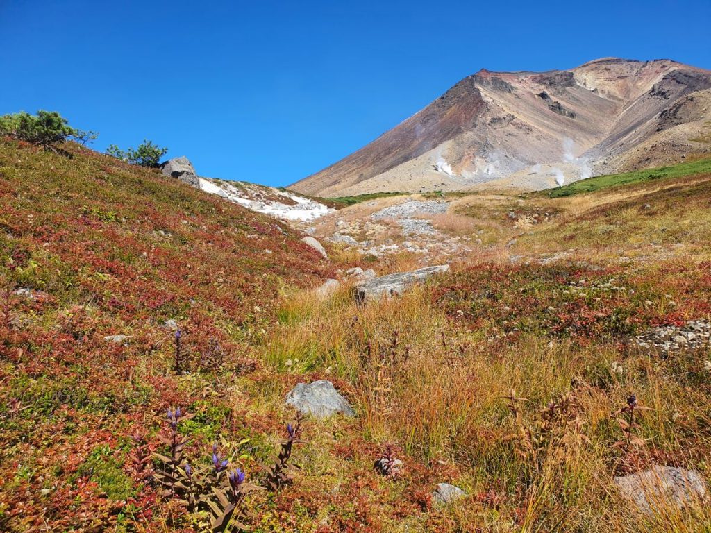 On The Roof of Hokkaido, Japan's First Autumn Colors | JAPAN Forward