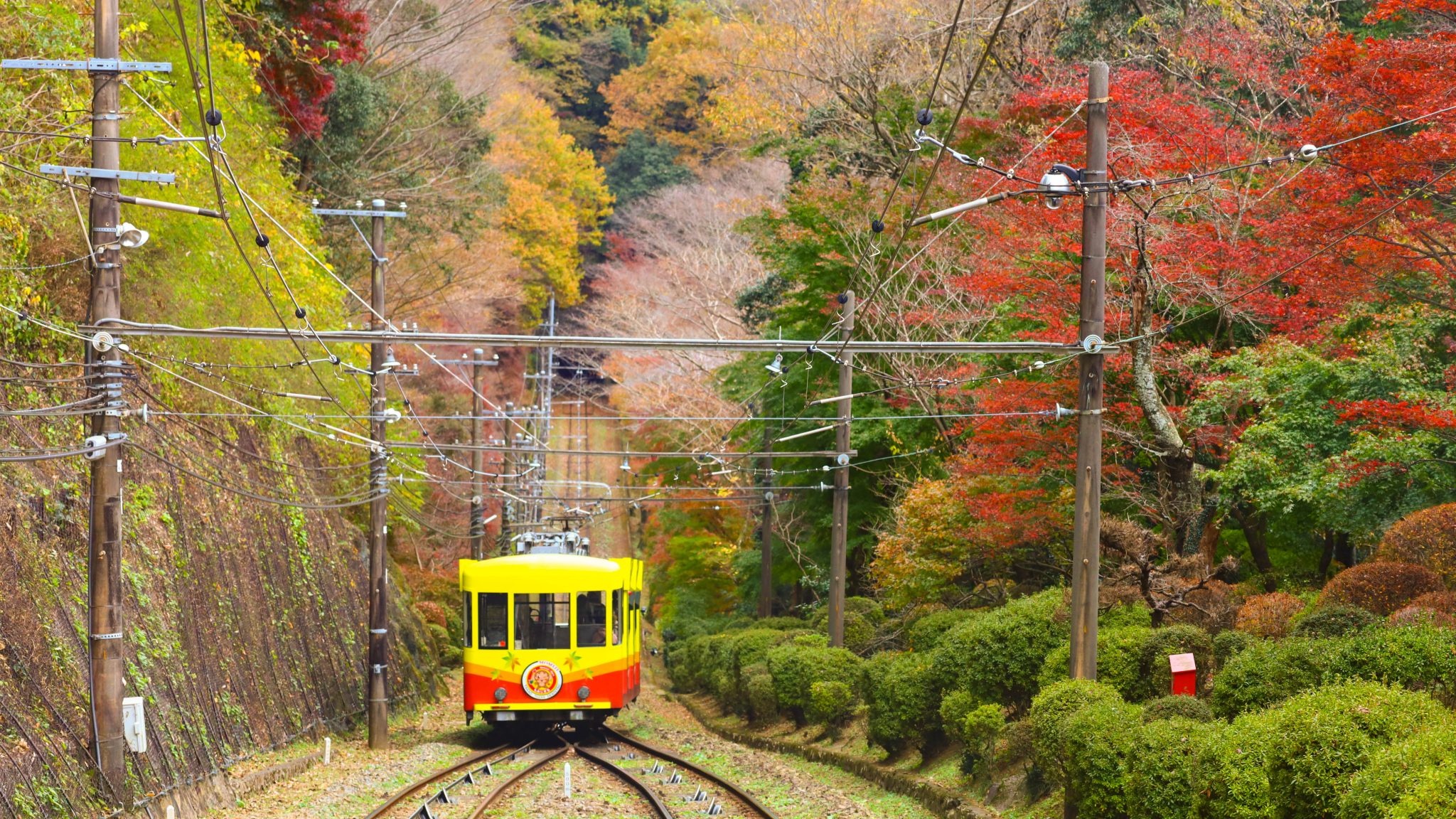 Top 5 Spots for Autumn Colors Around Tokyo | JAPAN Forward