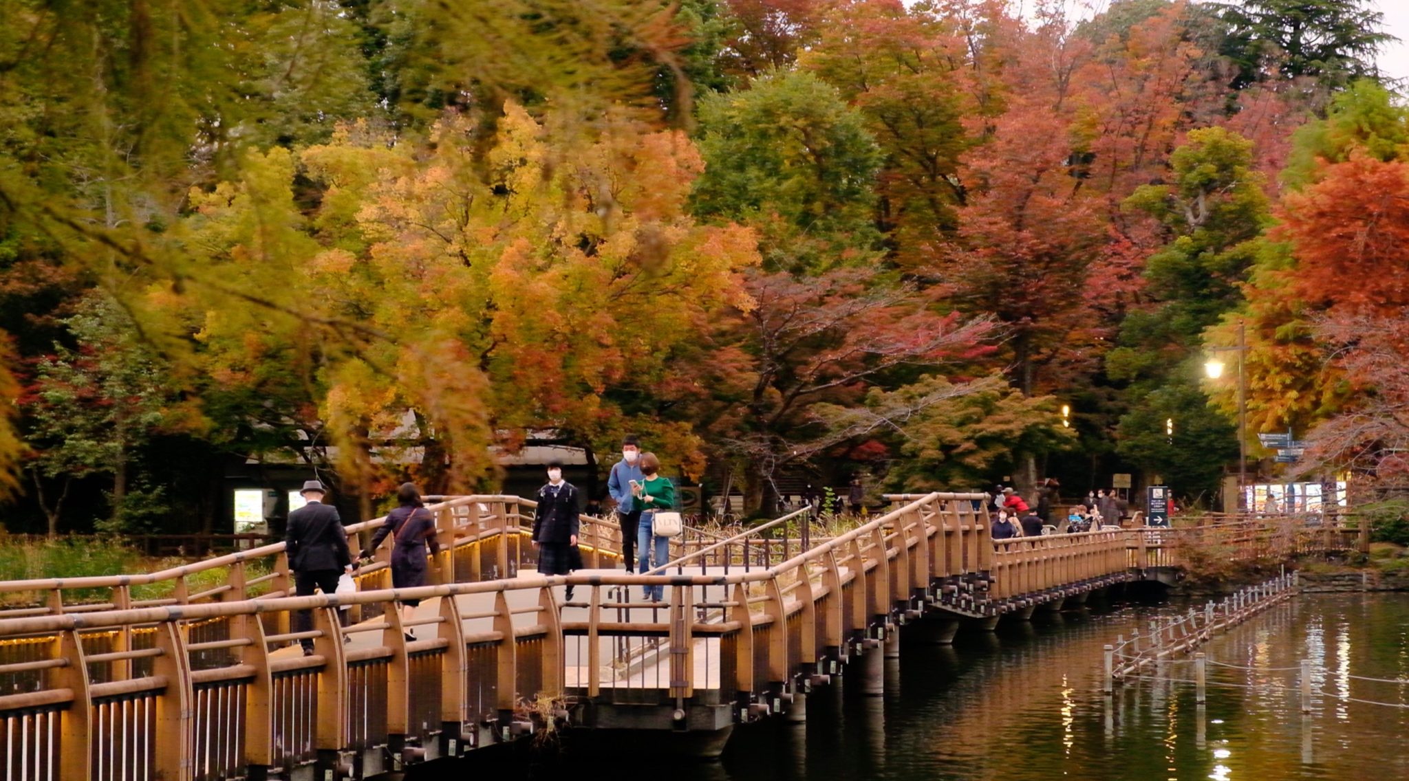 Autumn Colors: Three Easy to Get To Spots for Enjoying Momiji Around ...