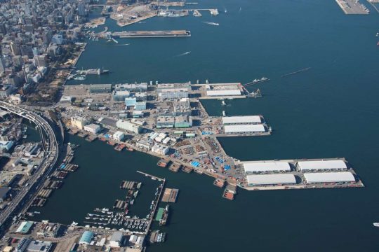 Yokohama's Yamashita Pier Redevelopment Project Resumes - Where Will it ...