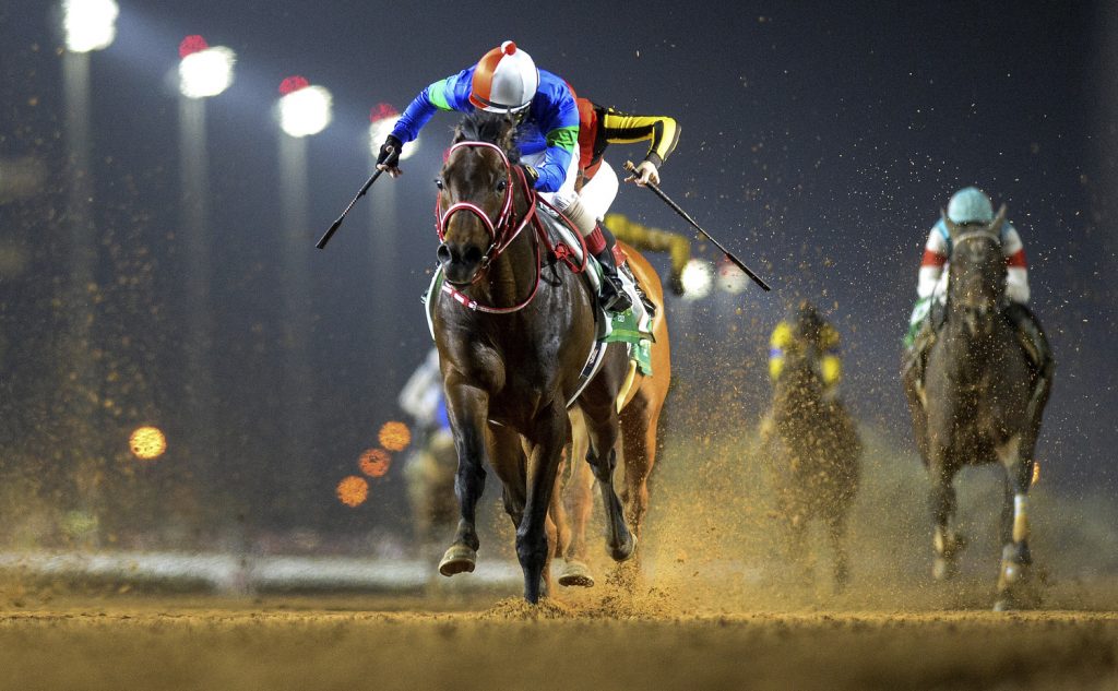 HORSE RACING | Panthalassa Shines in Saudi Cup for Lucrative Payday ...