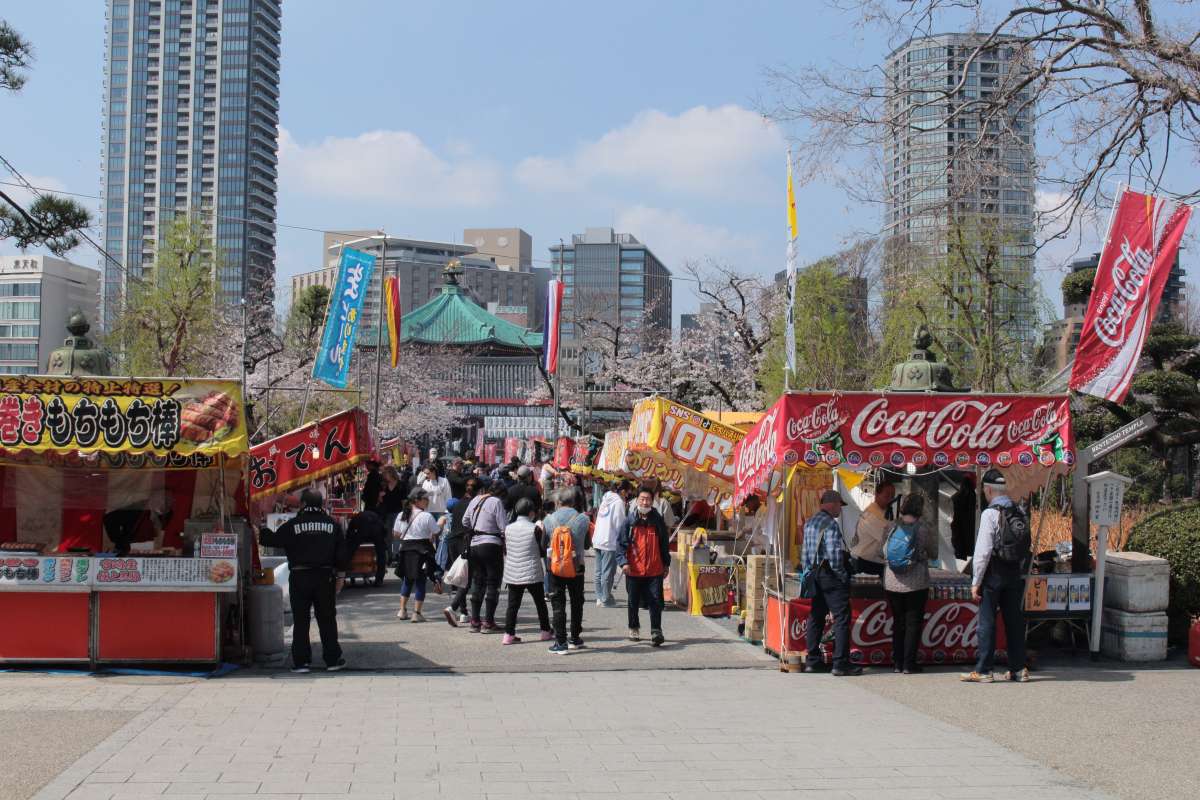 Three Tokyo Sakura Spots You Can See in a Day | JAPAN Forward