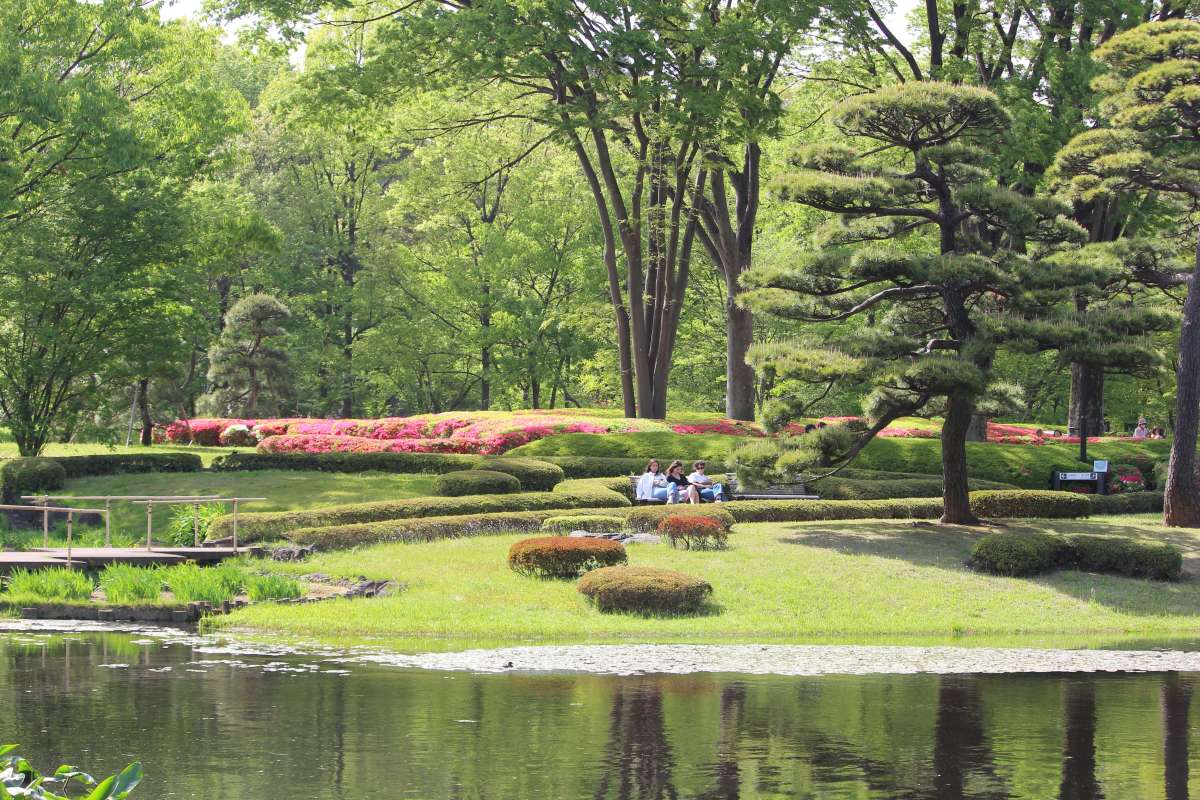 Four Amazing Azalea Spots in Tokyo to See in a Day | JAPAN Forward