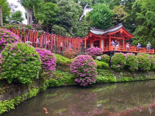 Four Amazing Azalea Spots in Tokyo to See in a Day | JAPAN Forward