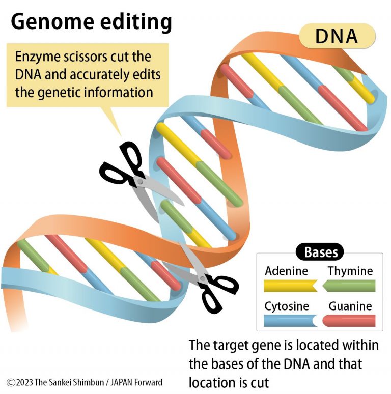 Will Japanese Genome Editing Technology Catch Up With the US and China ...