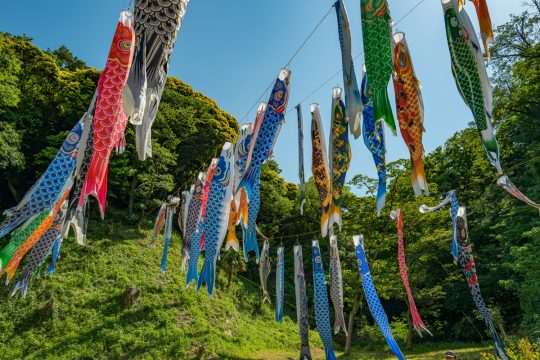 Children's Day Ushers In With Colorful Carp Streamers | JAPAN Forward