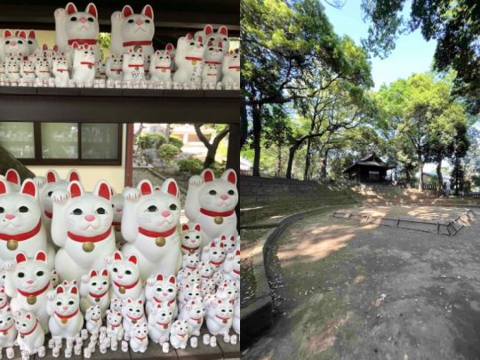 [Hidden Wonders of Japan] Setagaya Line: A Journey Through a Beautiful ...