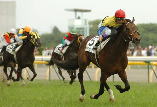 Deep Impact: The Enduring Legacy of a World-Renowned Racehorse | JAPAN ...