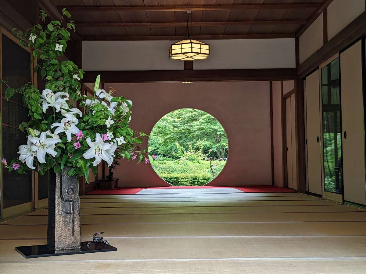 [Hidden Wonders of Japan] Hydrangeas in Kamakura: Embrace the Joy of ...