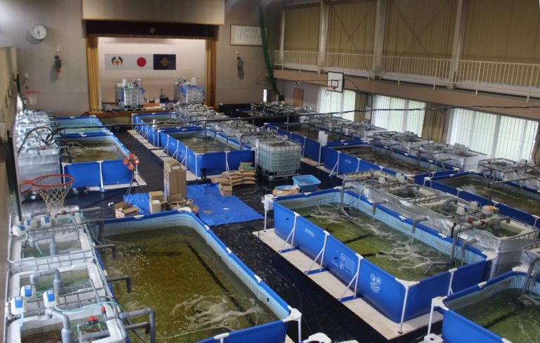 How Onshore Aquaculture Could Achieve a Reliable Seafood Supply | JAPAN ...